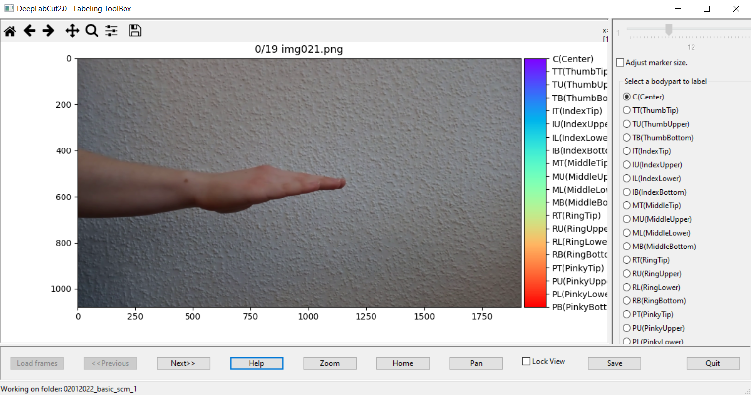 DeepLabCut - A Student’s Quick Start Guide — Pigeon Super Model